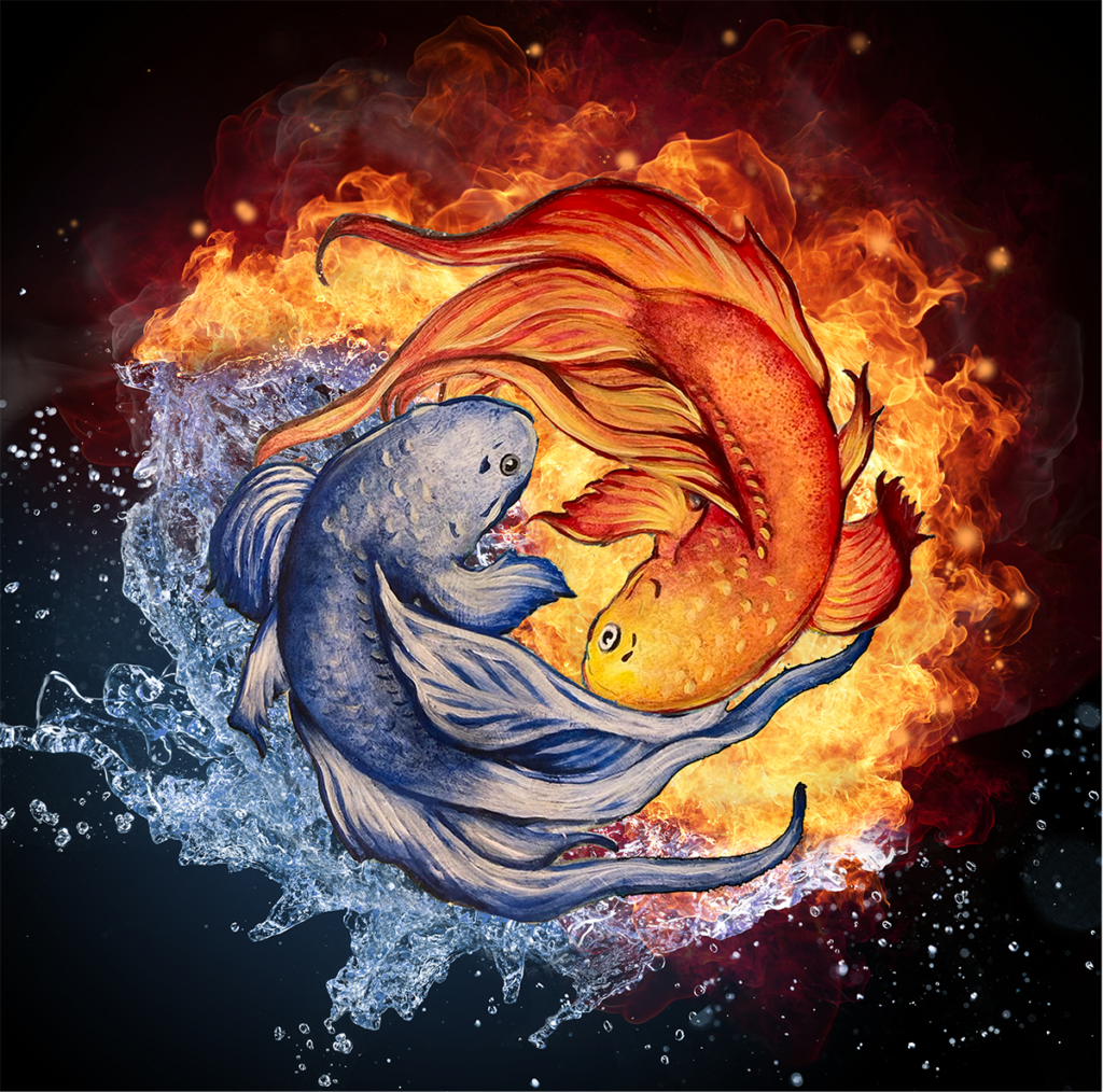 B Shifter – Authentic Leadership + Command Training